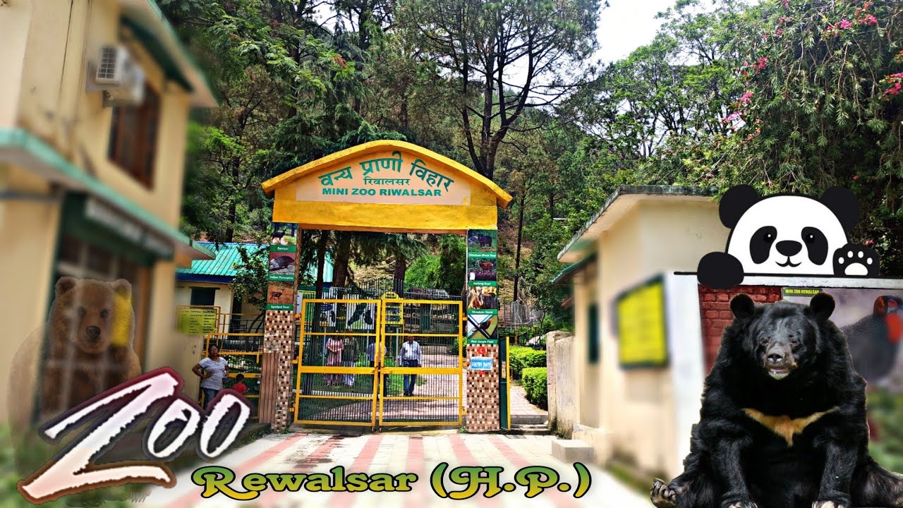Zoo Riwalsar Himachal Pradesh - YouTube