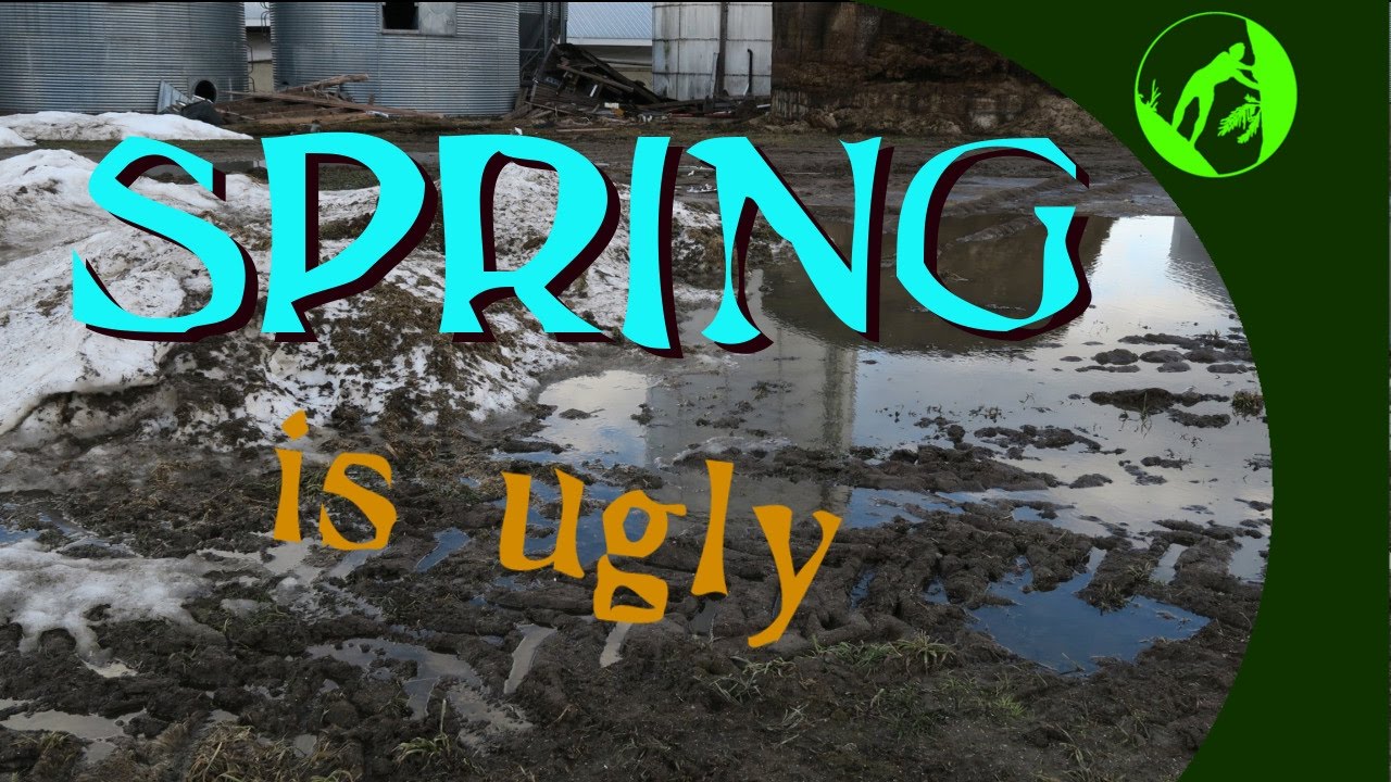 Spring is Ugly - YouTube