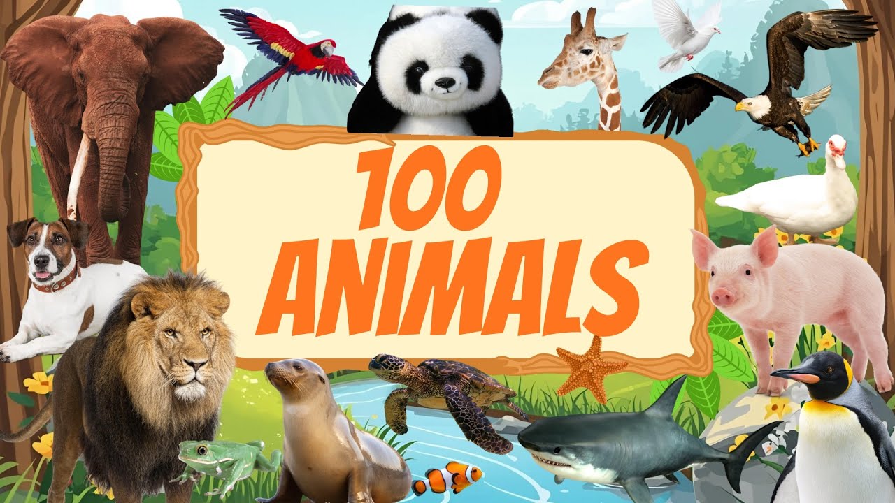 100 Most Popular Animals for Kids | Sea Animals, Wild Animals, Farm ...