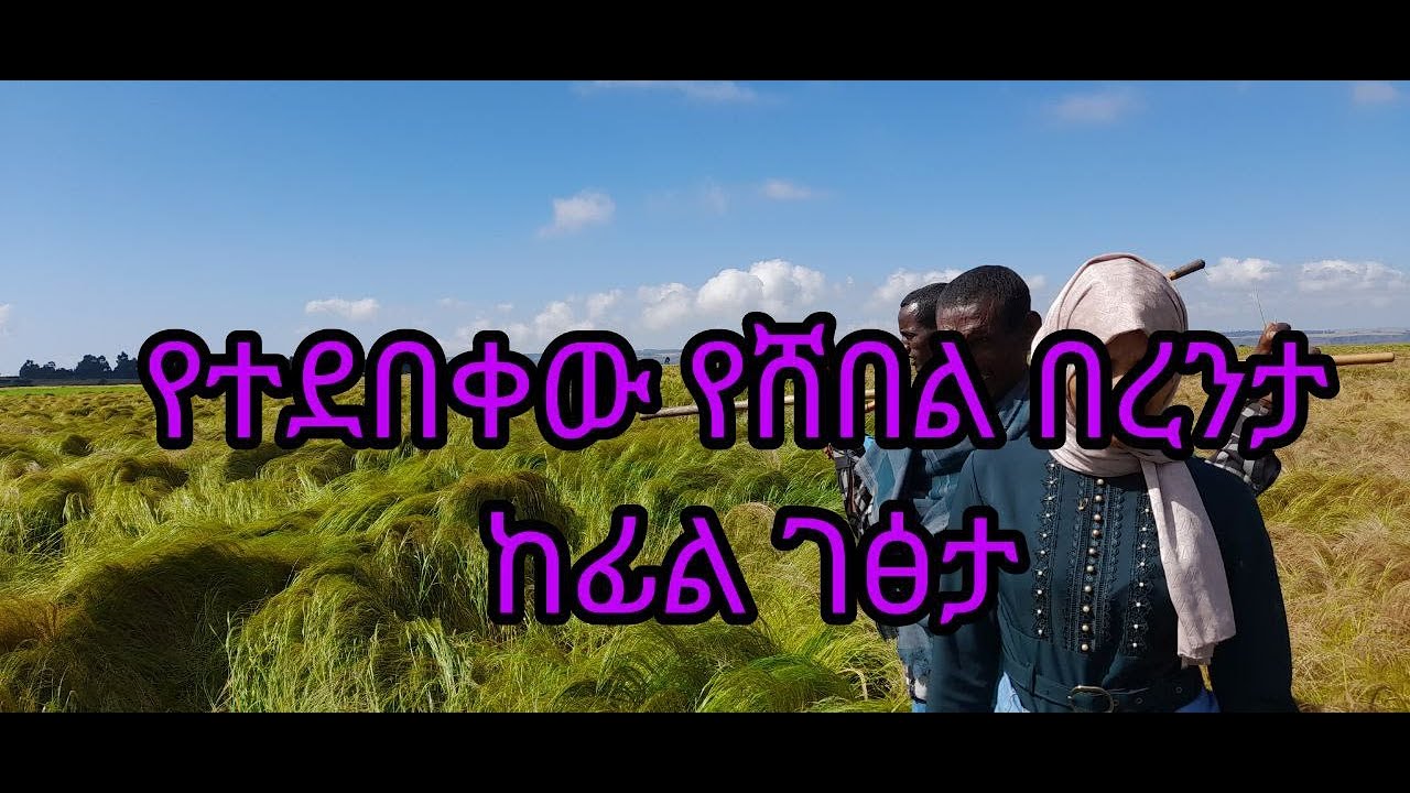 #Shebel #Berenta #gojjam #ethiopia #'ሸበል በረንታ ጎጃም በወርሃ ህዳር - YouTube