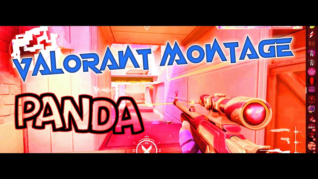 Valorant Montage #11 | Panda 🐼 - YouTube