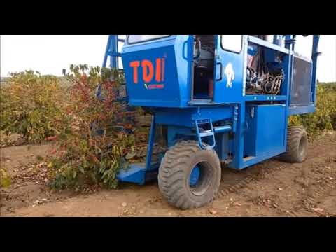 Coffee harvesting machine (Máy thu hoạch cafe) - YouTube