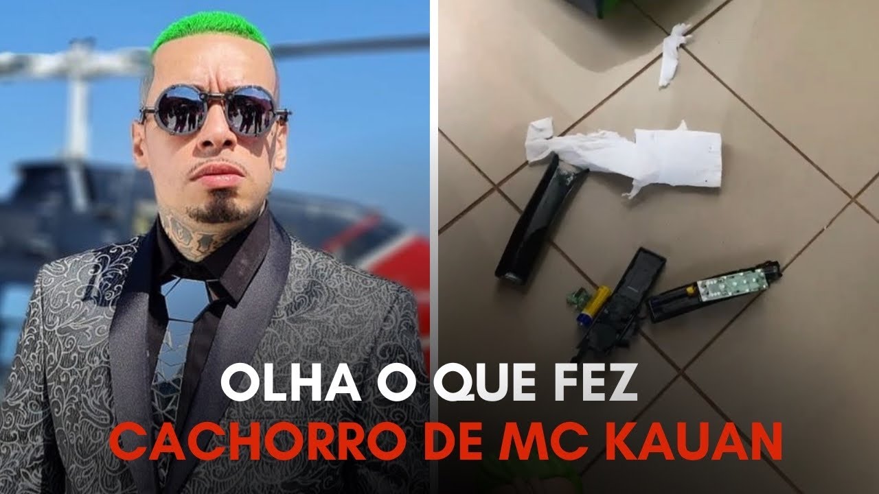 OLHA O QUE O CACHORRO DE MC KAUAN FEZ!! #mckauan - YouTube