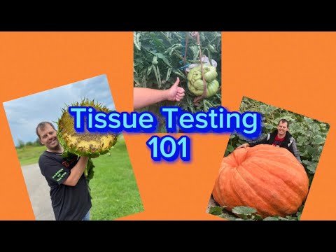 Tissue Testing 101 (PT 1) The exact technique to attain a perfect ...