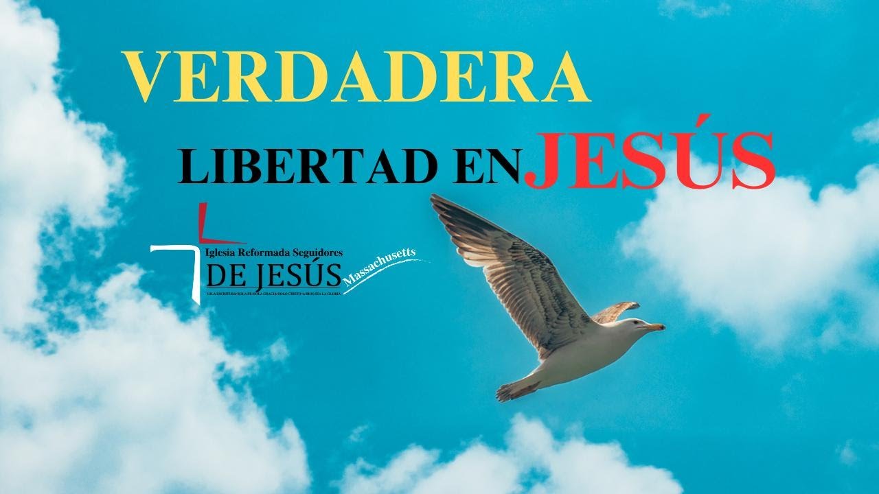 VERDADERA LIBERTAD EN JESÚS - YouTube