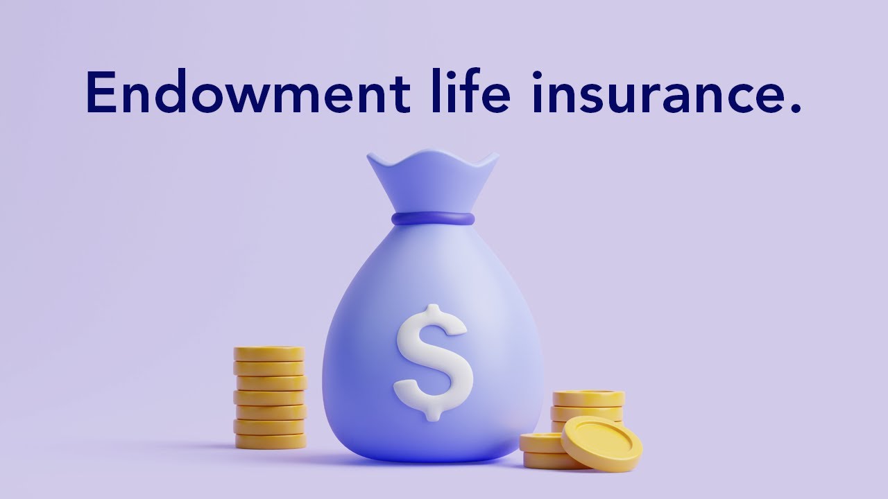 What is endowment life insurance? - YouTube
