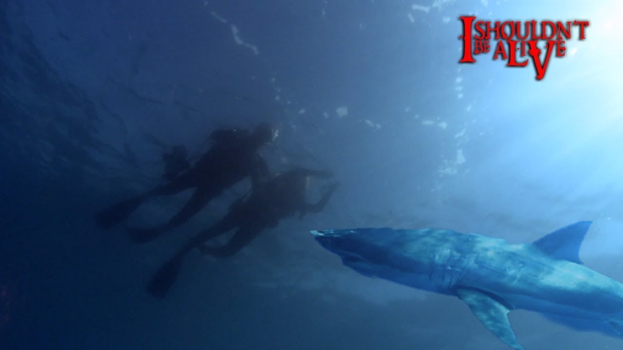 Diving Into Danger | I Shouldn't Be Alive | I Shouldn't Be Alive - YouTube