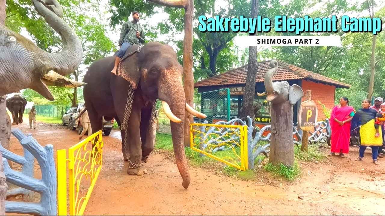 Shimoga Part 2 - Sakrebyle Elephant Camp - YouTube