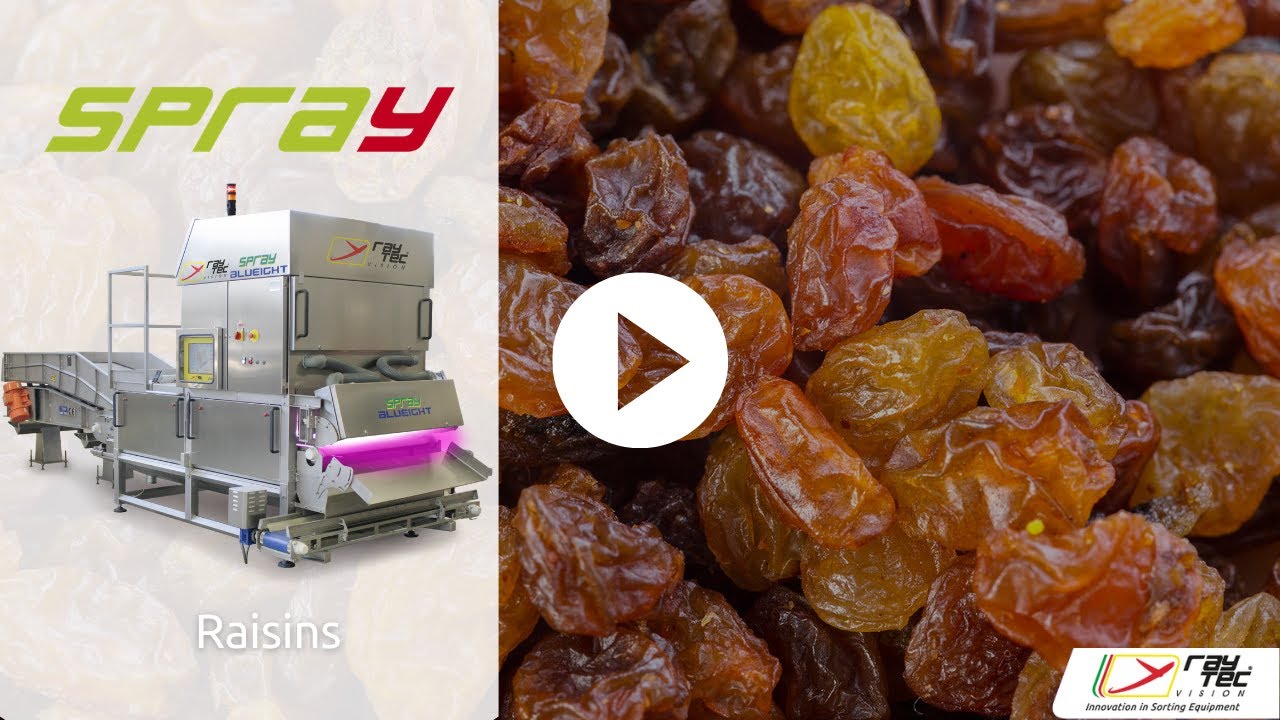 Raisin Sorting Raytec - YouTube