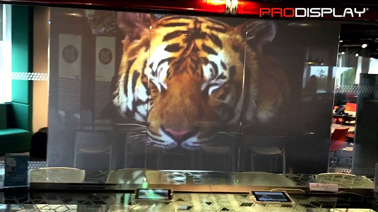 Pro Display Ultra Black Rear Projection Film screen at Elevator's ...