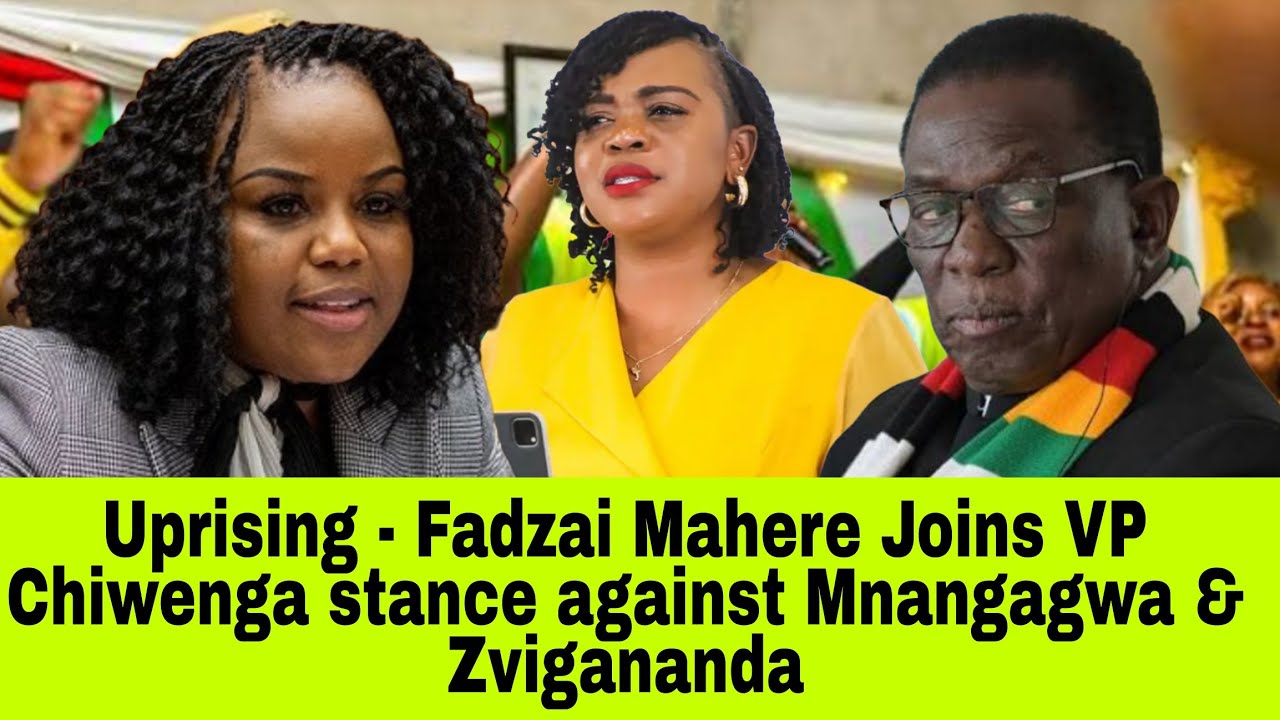 Uprising - Fadzai Mahere Joins Vp Chiwenga - End Of Mnangagwa regime ...
