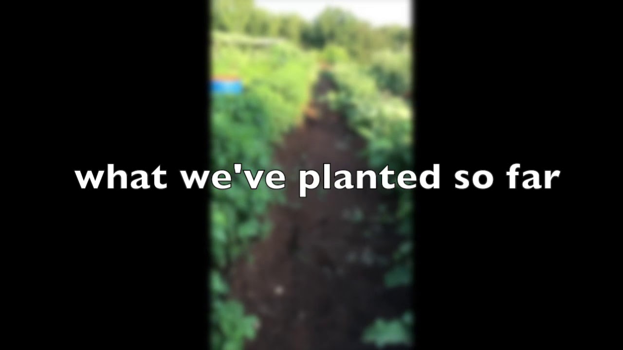 Karen people farming in USA - YouTube
