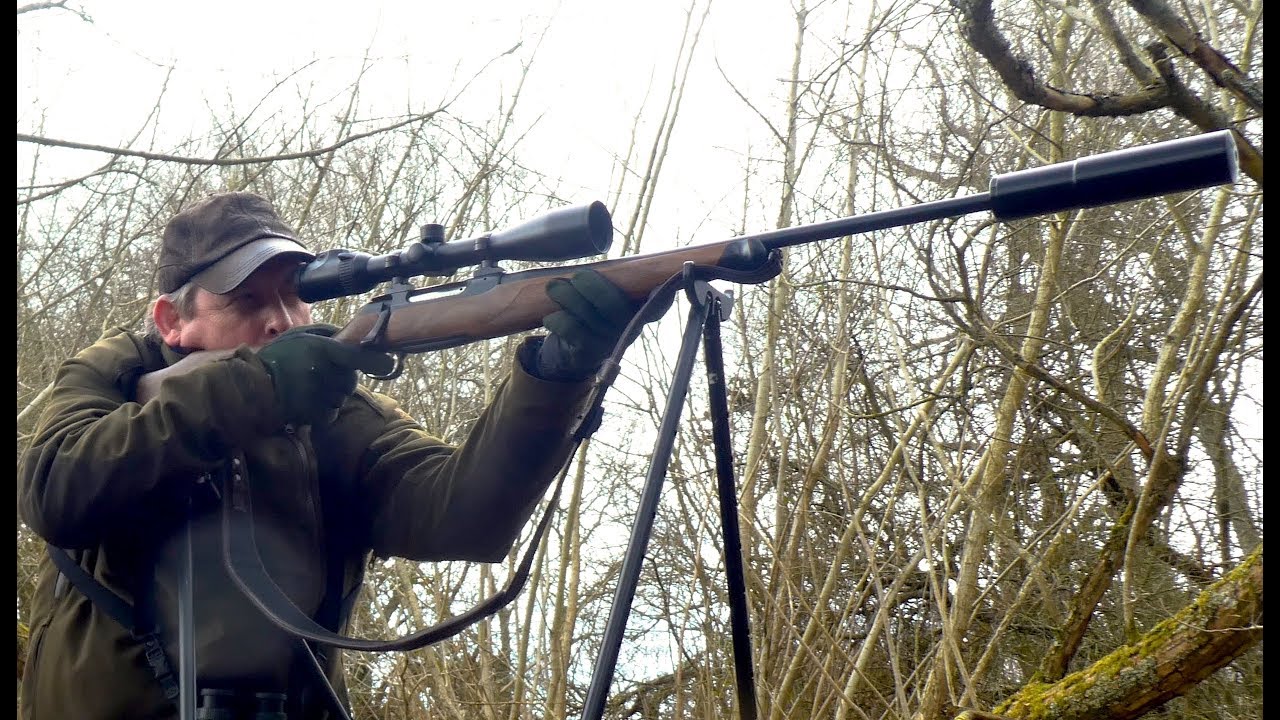 Roe Stalking in Hampshire - YouTube