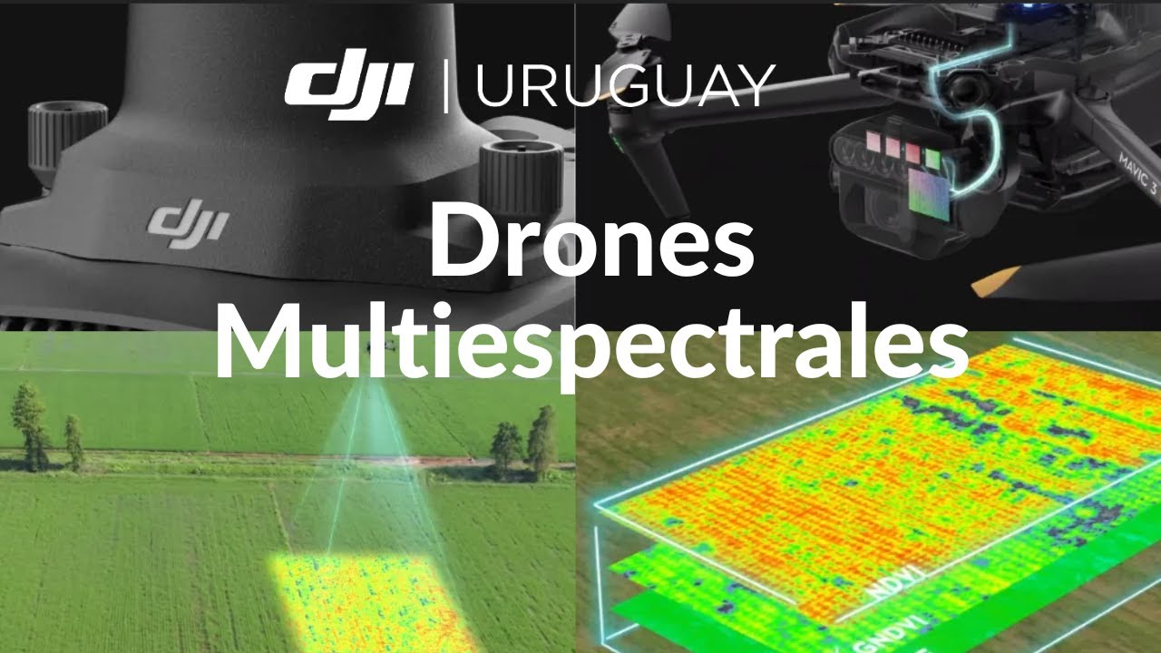 DJI Uruguay - Hablemos de equipos multiespectrales - YouTube