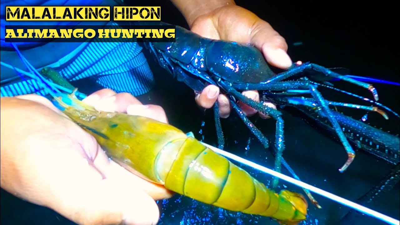 e78 Malalaking Hipon & Alimango Ang nakuha Namin - YouTube