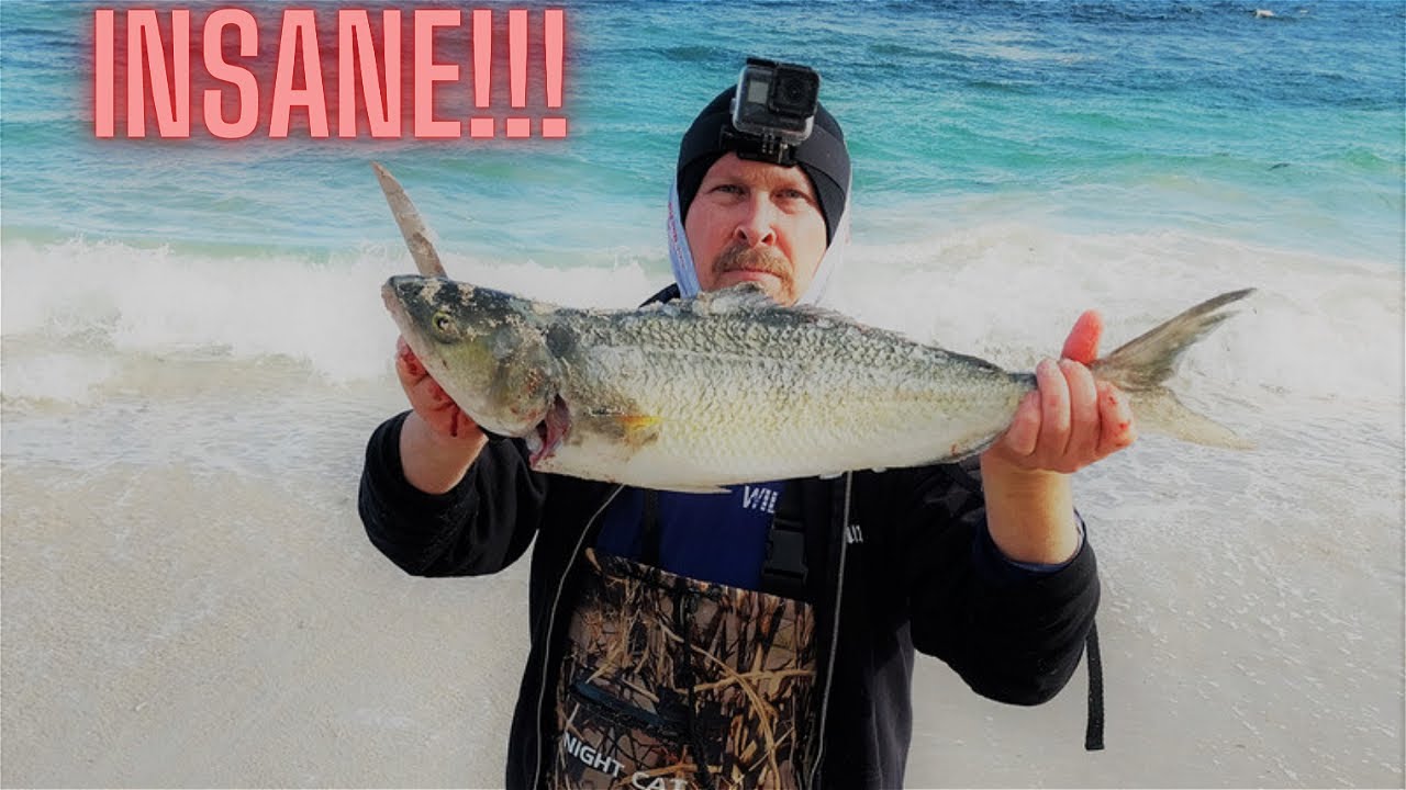 You Won't Believe How Jonny Caught This Fish!!! INSANE!!!!! - YouTube