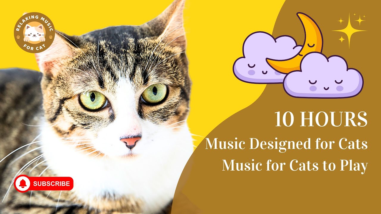 Music Designed for Cats 🎵 Music for Cats to Play 10 Hours 🐾 Relaxing ...