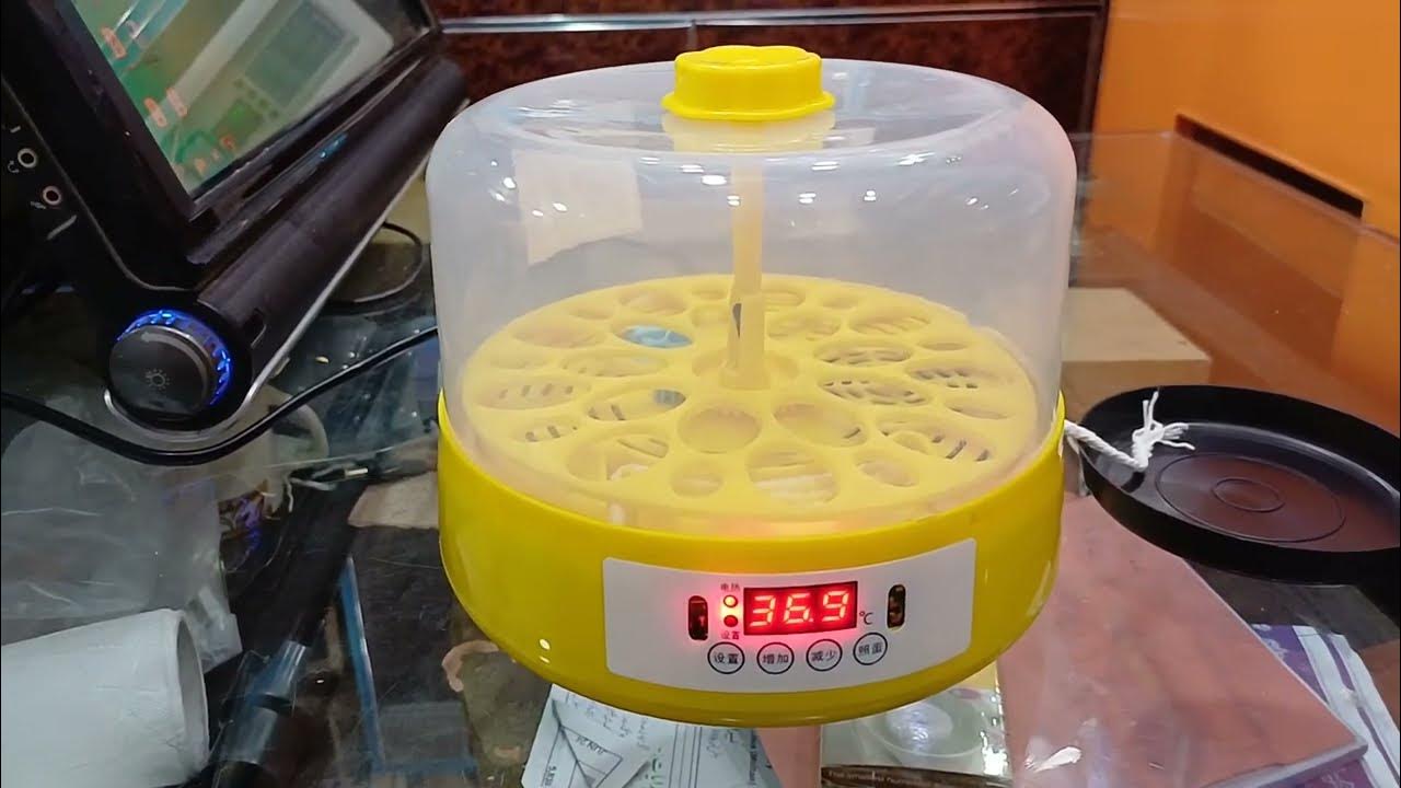 Best Egg Incubator Love Birds || automatic egg incubator || china egg ...