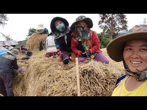 hnub no mus ntau peb li nplej sab kawg - YouTube