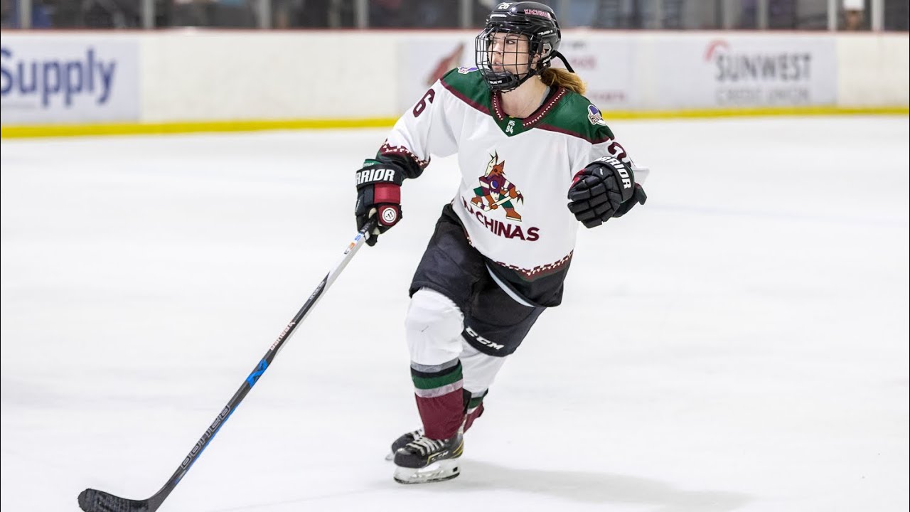 Kaydence Carpenter #26 vs. 19AAA Gilmore Academy. NIT Minnesota - YouTube