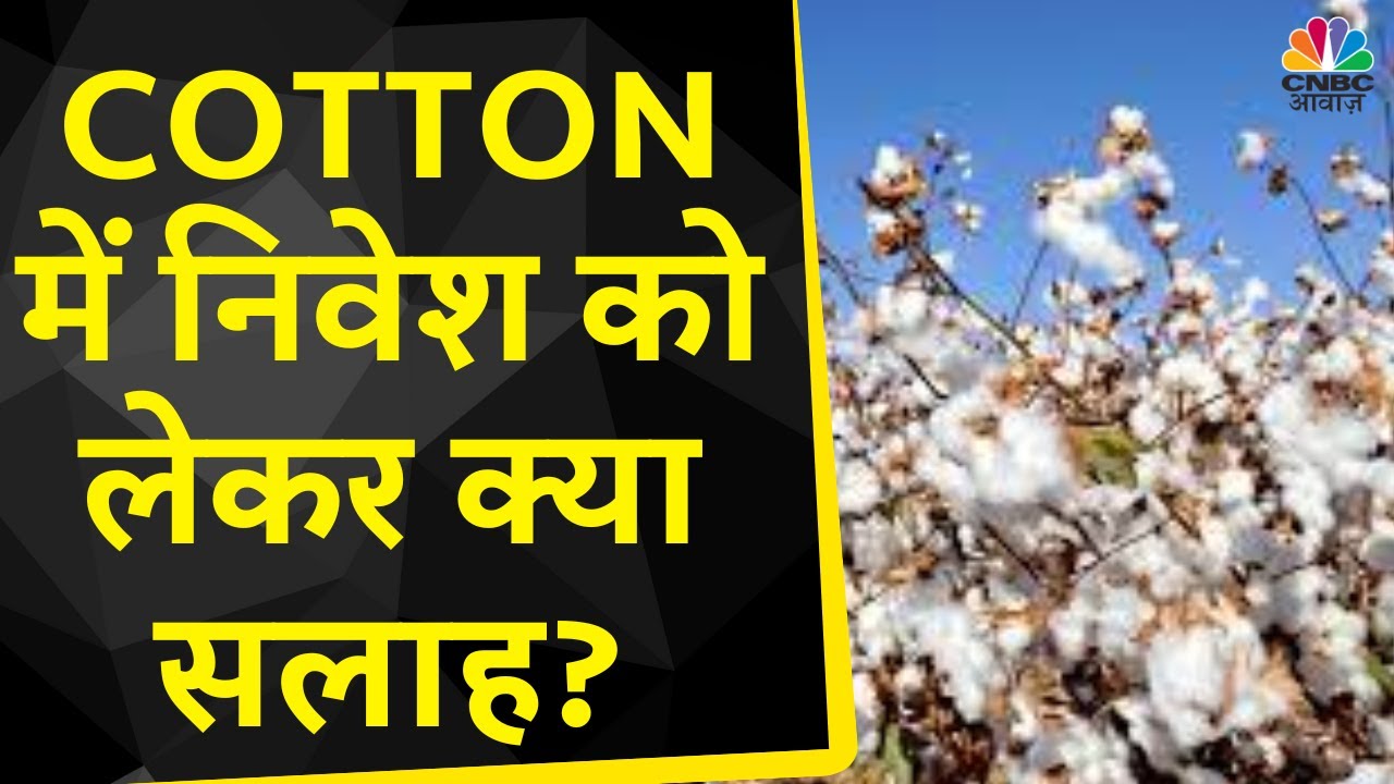 Cotton Trading Strategy: अगले साल कैसे रह सकते है Price, क्या है ...