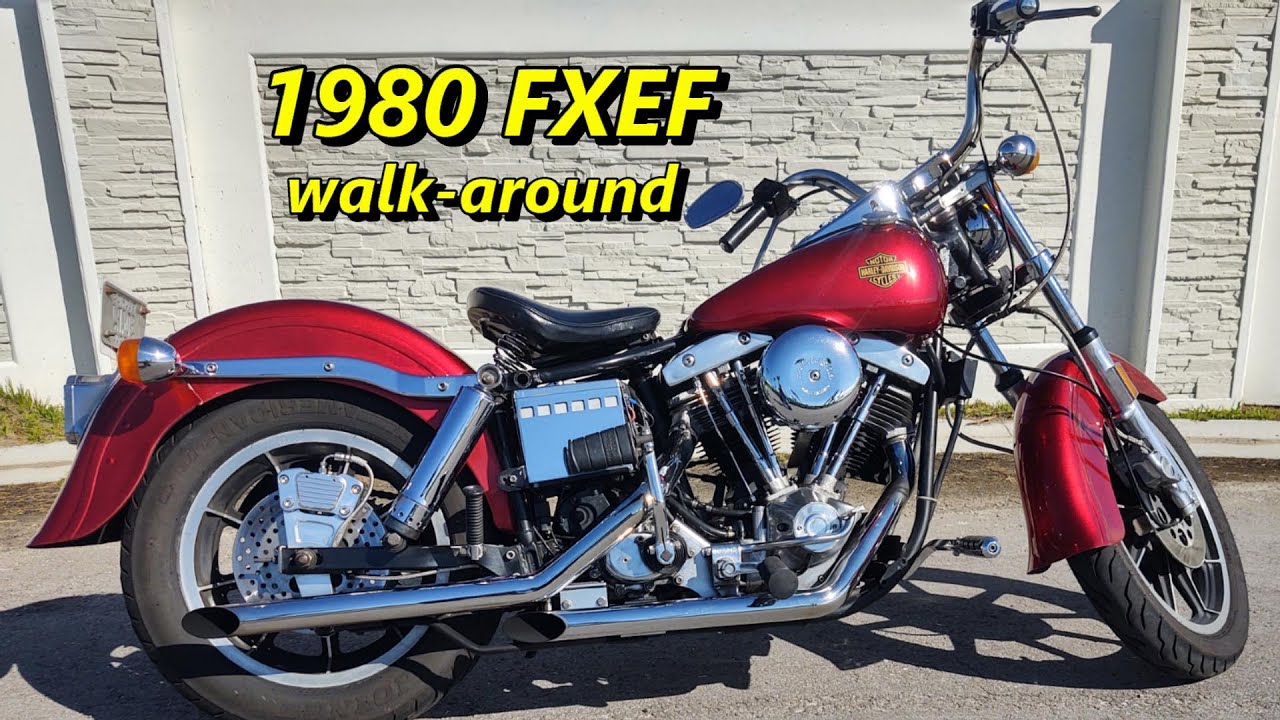 1980 FXEF Walk-Around - YouTube