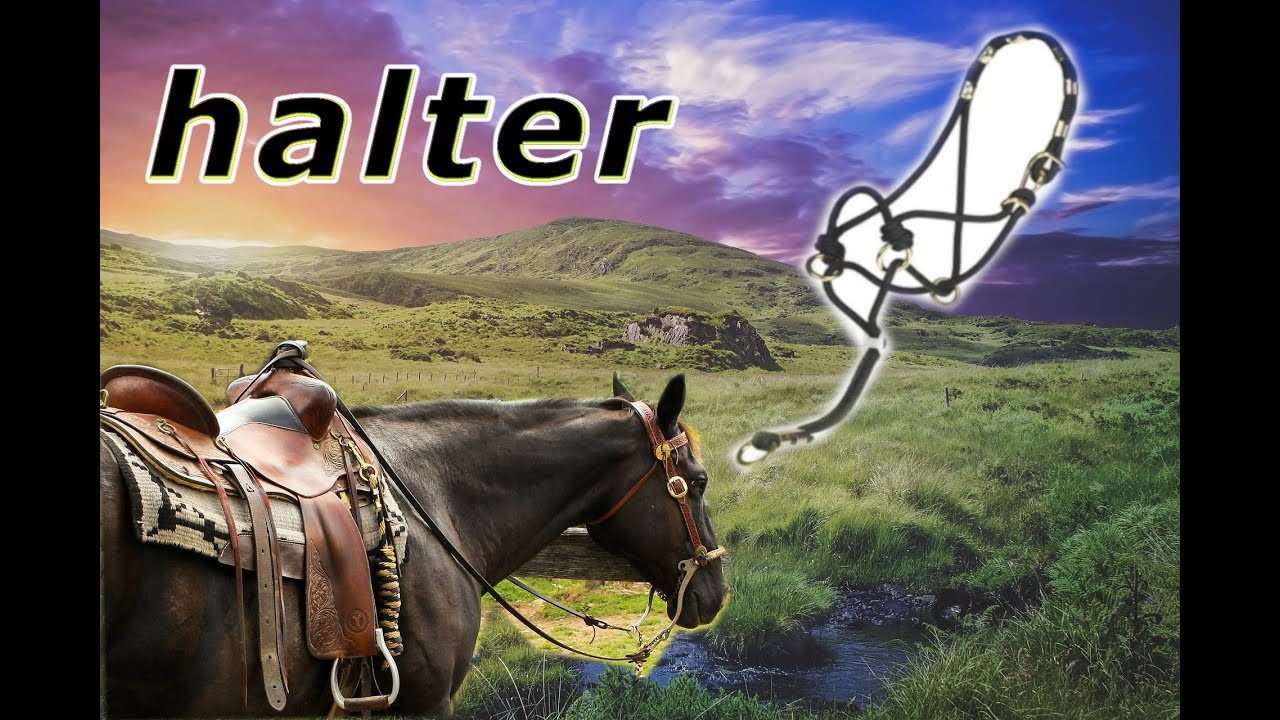 unpacking halter . haul kantara sznurkowego dla kucyka - YouTube