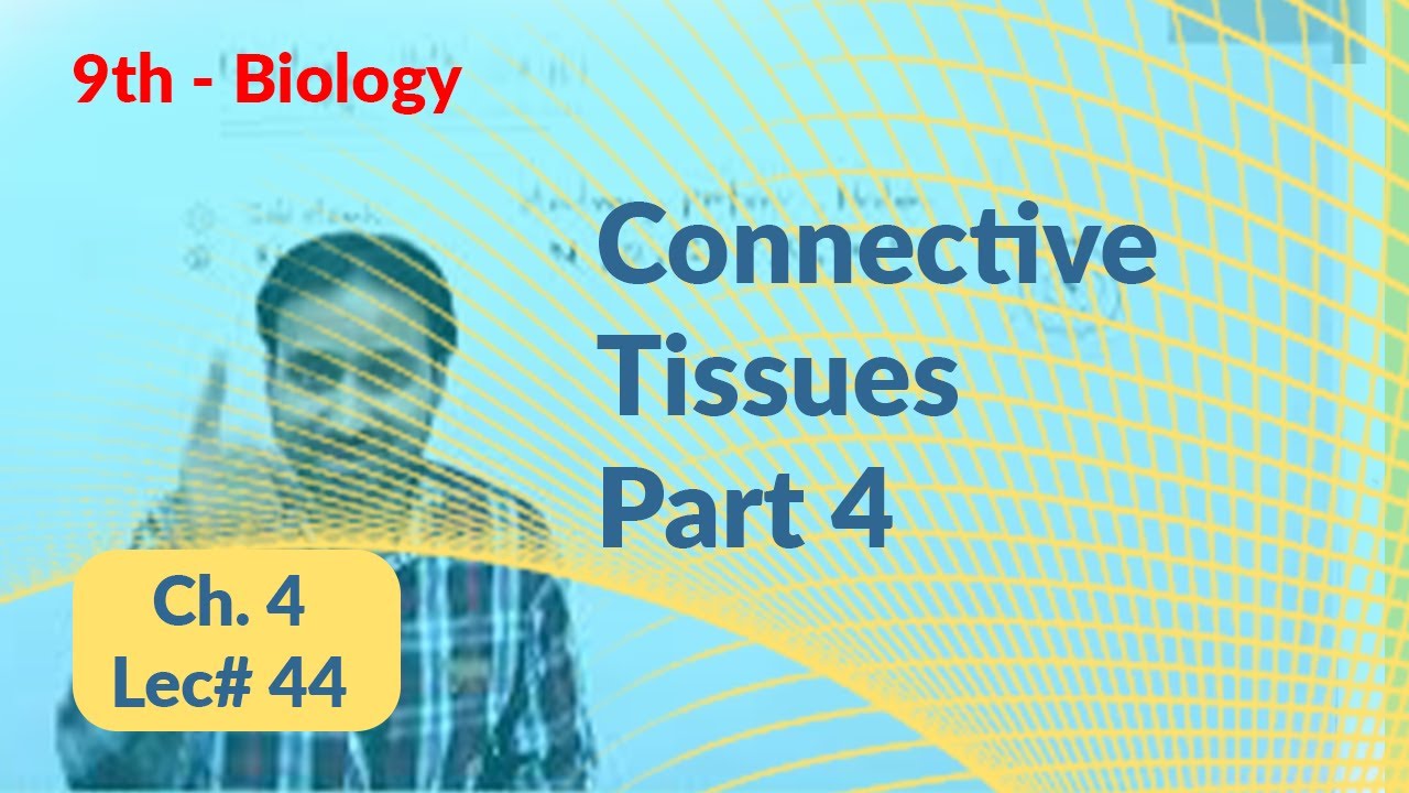 9th Biology Ch 4 Connective Tissues - 9th class Biology Ch 4 Connective ...