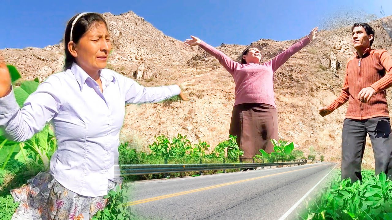 MARAVILLOSO Y TODO PODEROSO ES EL SEÑOR 🌄🕊📖 - YouTube