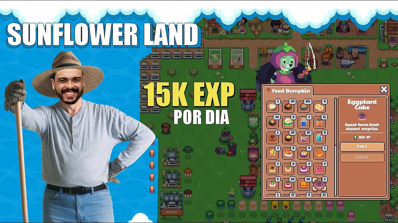 COMO FAZER 15K EXP [SUNFLOWER LAND] por DIA ... OLHA a TABELA 😱 - YouTube