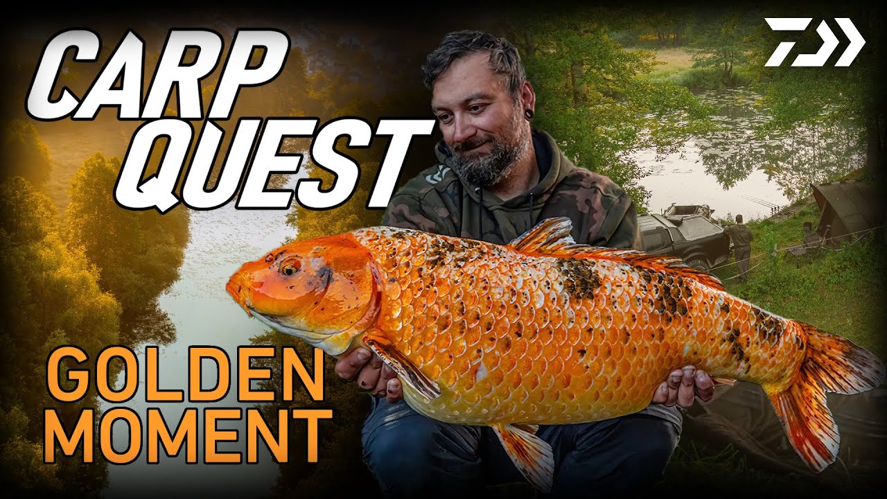 GOLDEN MOMENT | Carp Fishing in Europe | CARP QUEST | Daiwa Carp - YouTube