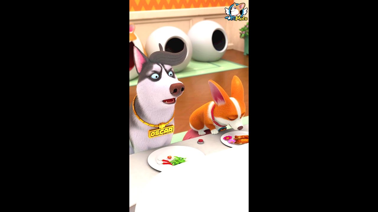 MOCO and YUMMY🐶 | My Brother 兄弟間的騷操作 | Flying MOCO Shorts 爆笑飛狗MOCO ...