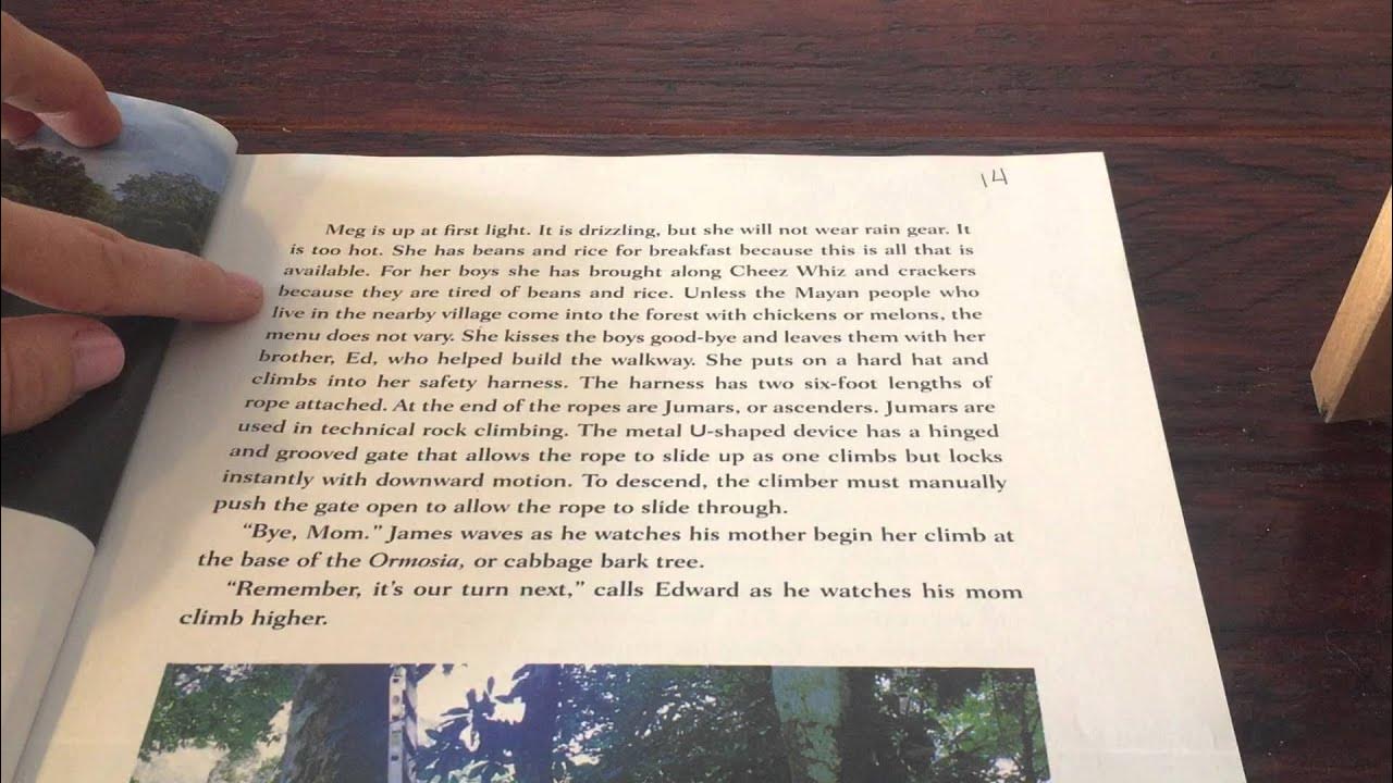 The Most Beautiful Roof in the World - page 14 - Lesson 5 Chunk 3 - NYS ...