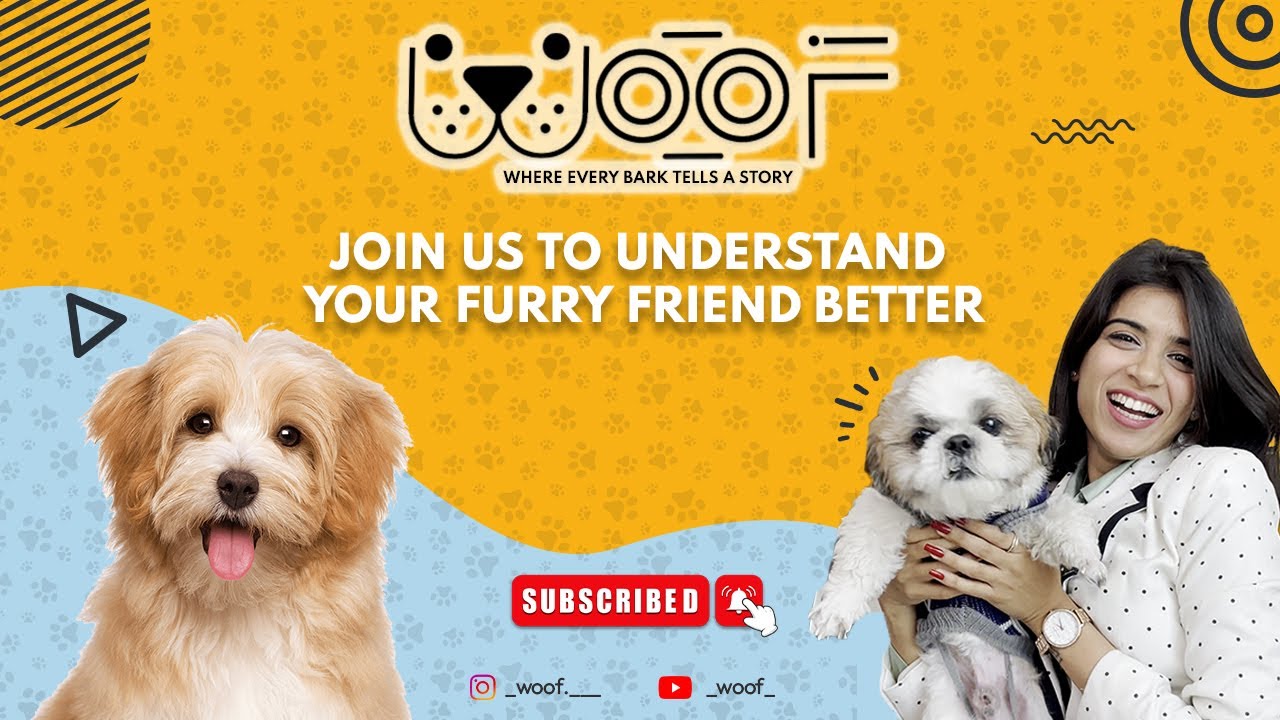 Welcome to #woof - Where every bark tells a story! - #trailer ! - YouTube