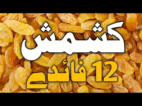 12 Health Benefits of Raisins |   کشمش کے بارہ صحت بخش فائدے | किशमिश के 12 स्वास्थ्य लाभ
