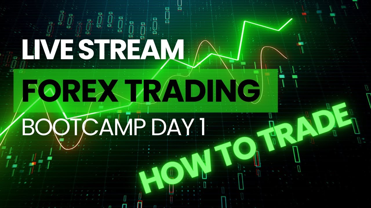 FOREX & CRYPTO TRADING BOOTCAMP DAY 1 - HOW TO TRADE - YouTube