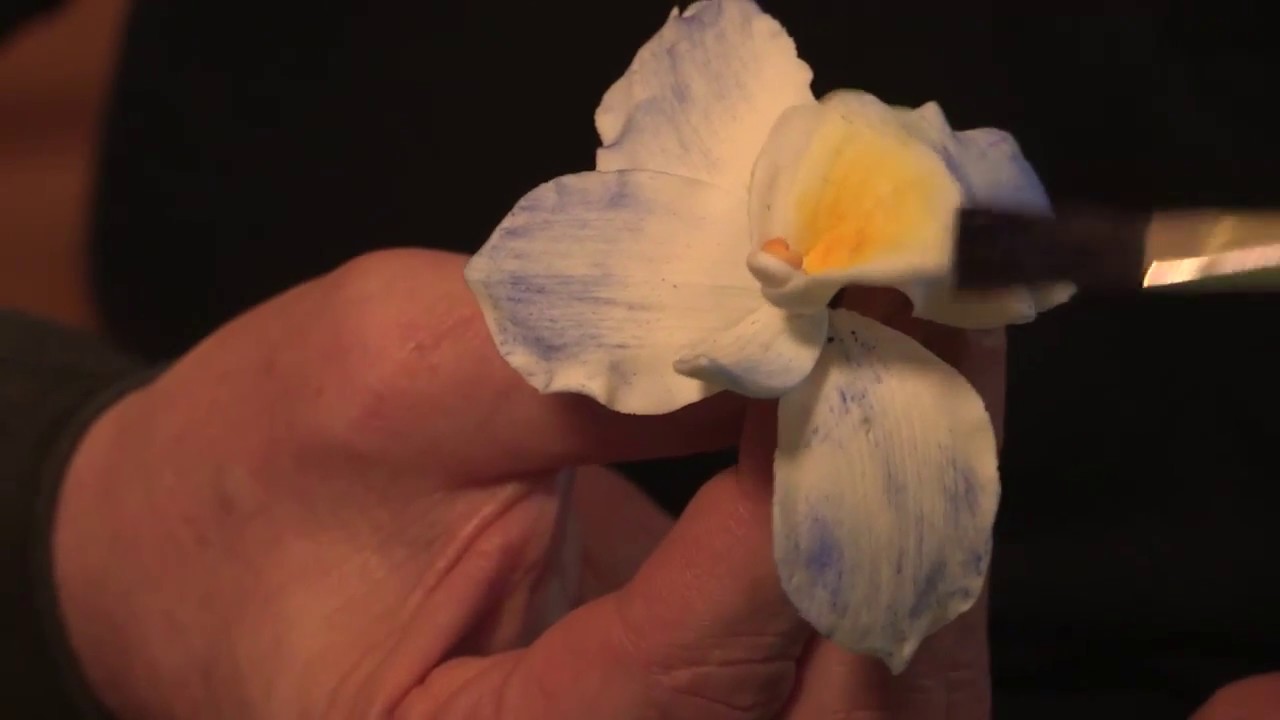 How to make a beautiful sugarcraft orchid - YouTube