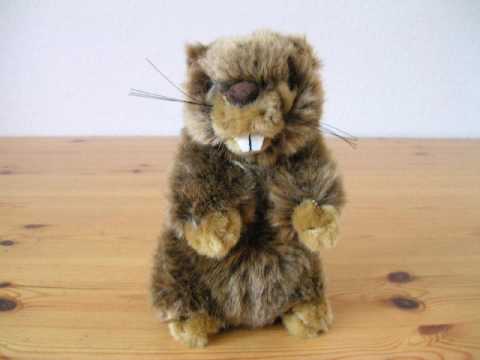Murmeltier mit Jodel-Sound / Yodelling Marmot - YouTube