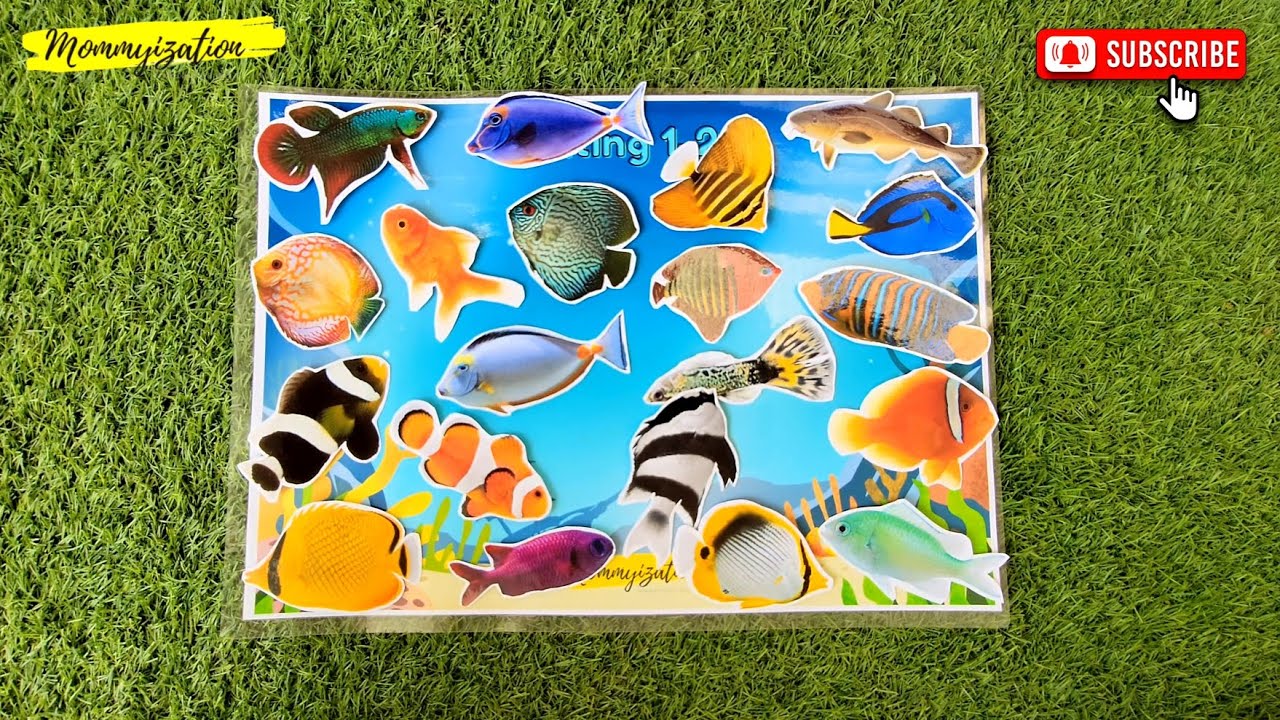 1 to 20 Counting Concept - Ocean Theme #mommyization - YouTube