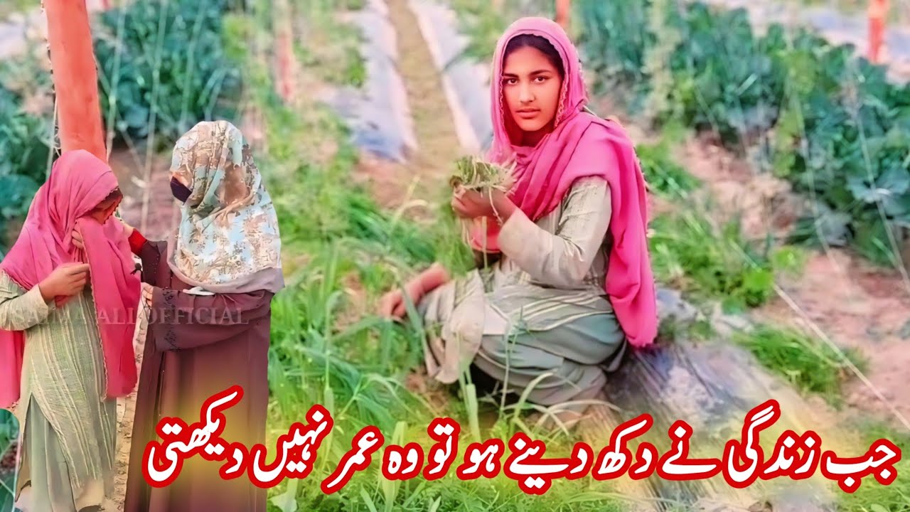 Tenha Mujboor Lerki Kesy Guzara Kerti Hai | Young Girl Story ...