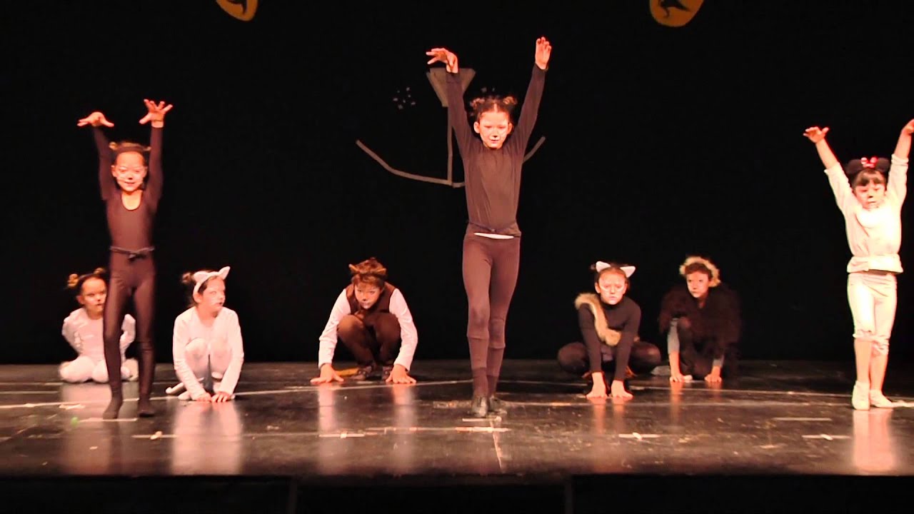 Musical Cats Kid Summer Campus 2013 - YouTube