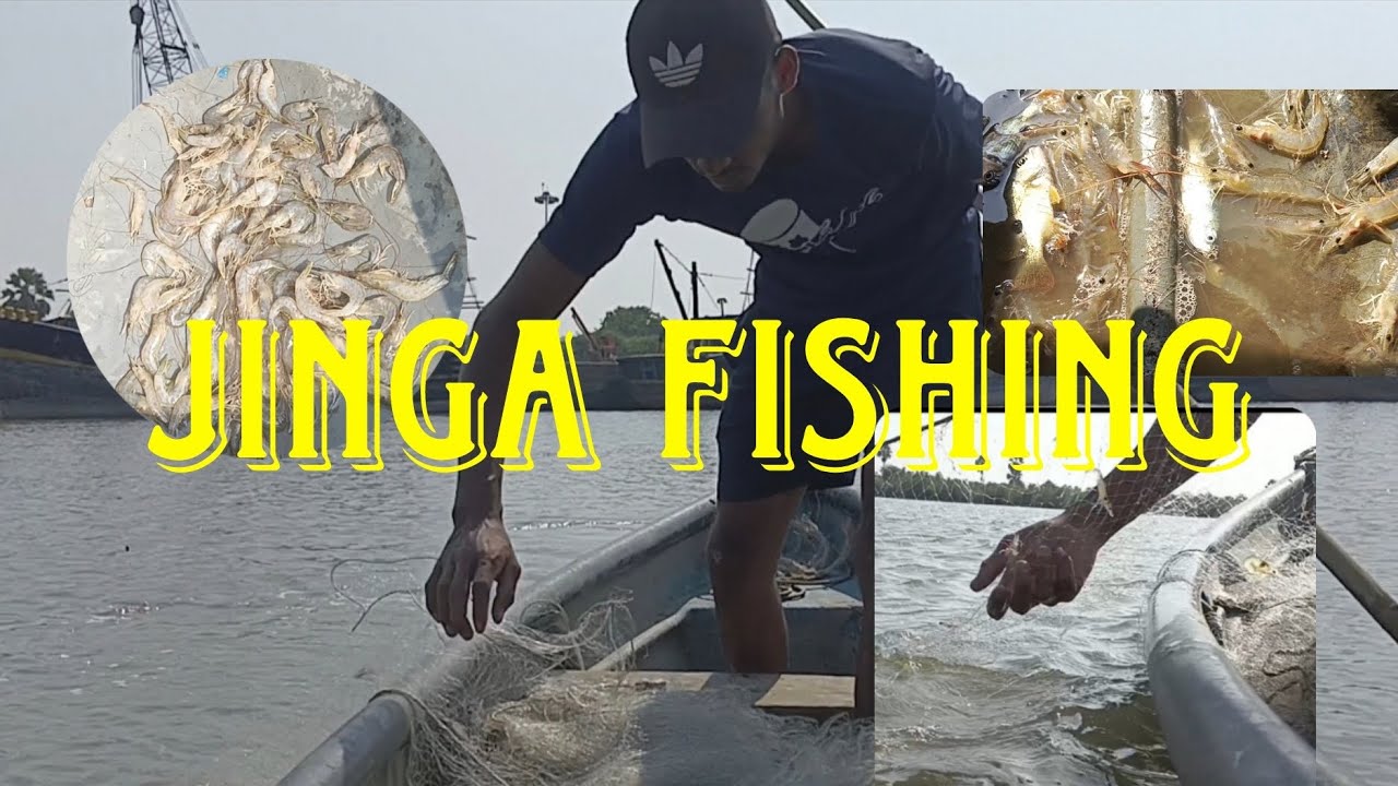 jinga fishing #fishing #YouTube #video viral#subscribe - YouTube