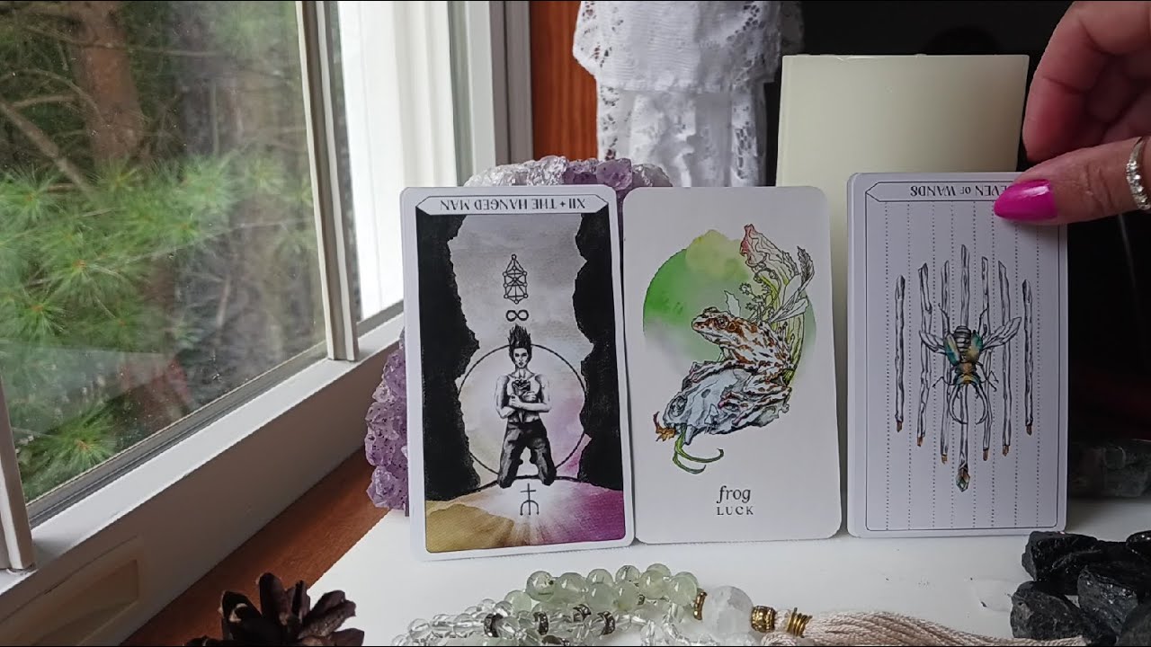 Pairing the NEW RELEASE 🌺LUMINA TAROT🌺 with the 🌺WINTERSEER ANIMAL ...