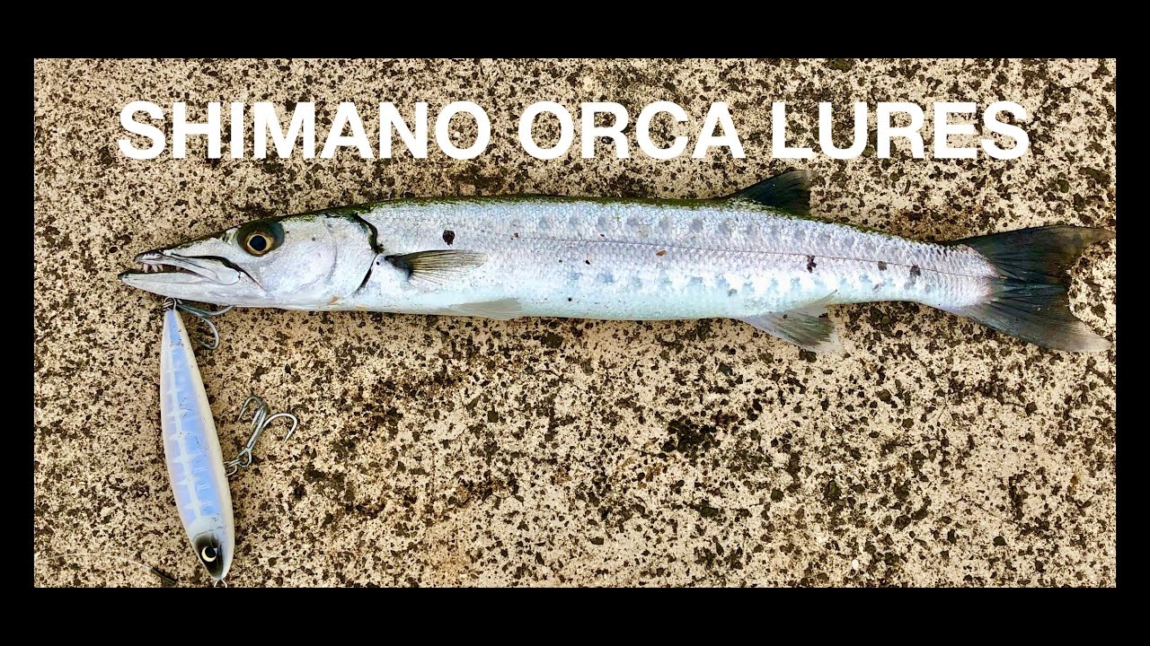 Shimano Orca Topwater Surface Lures w/Rockaway 6K Reel! - YouTube
