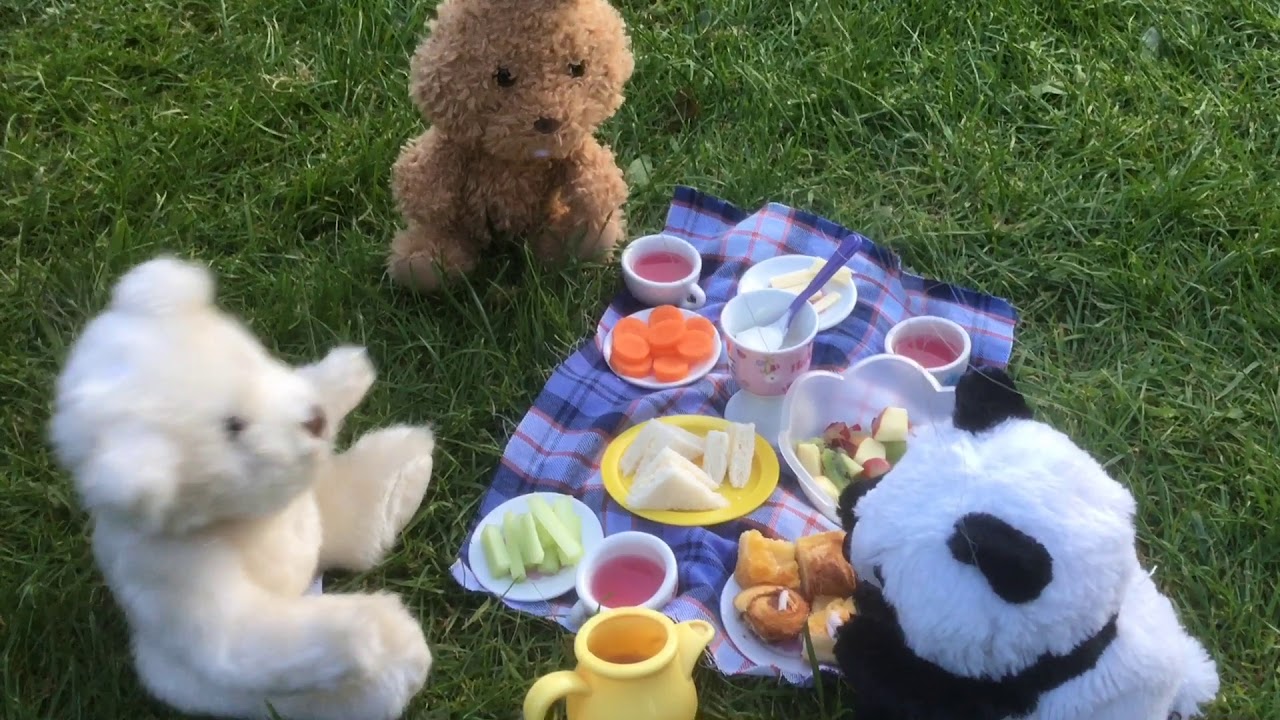 Teddy Bear Picnic Tea Party story kids children soft toy panda polar ...