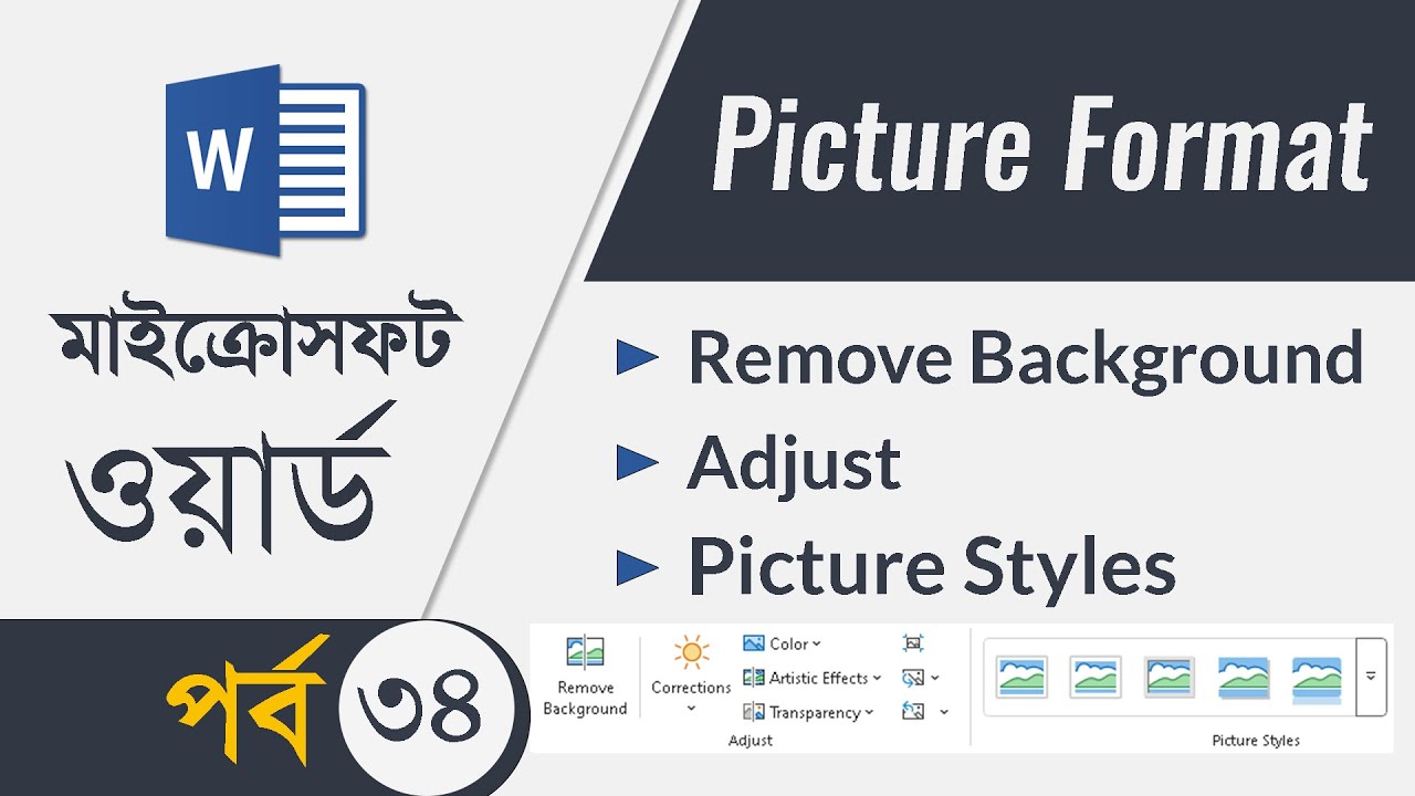 How to use picture format in MS Word | Part-34 | Remove Background ...