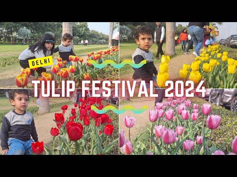 Tulip 🌷 Festival 2024|| Delhi Flower show|| Irhaandabdurrehman vlog ...