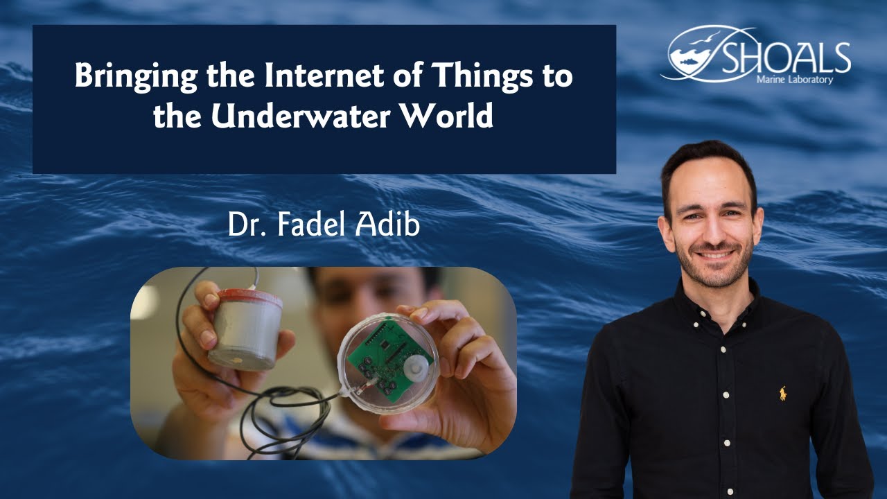 Bringing the Internet of Things to the Underwater World - Dr. Fadel Adib - YouTube