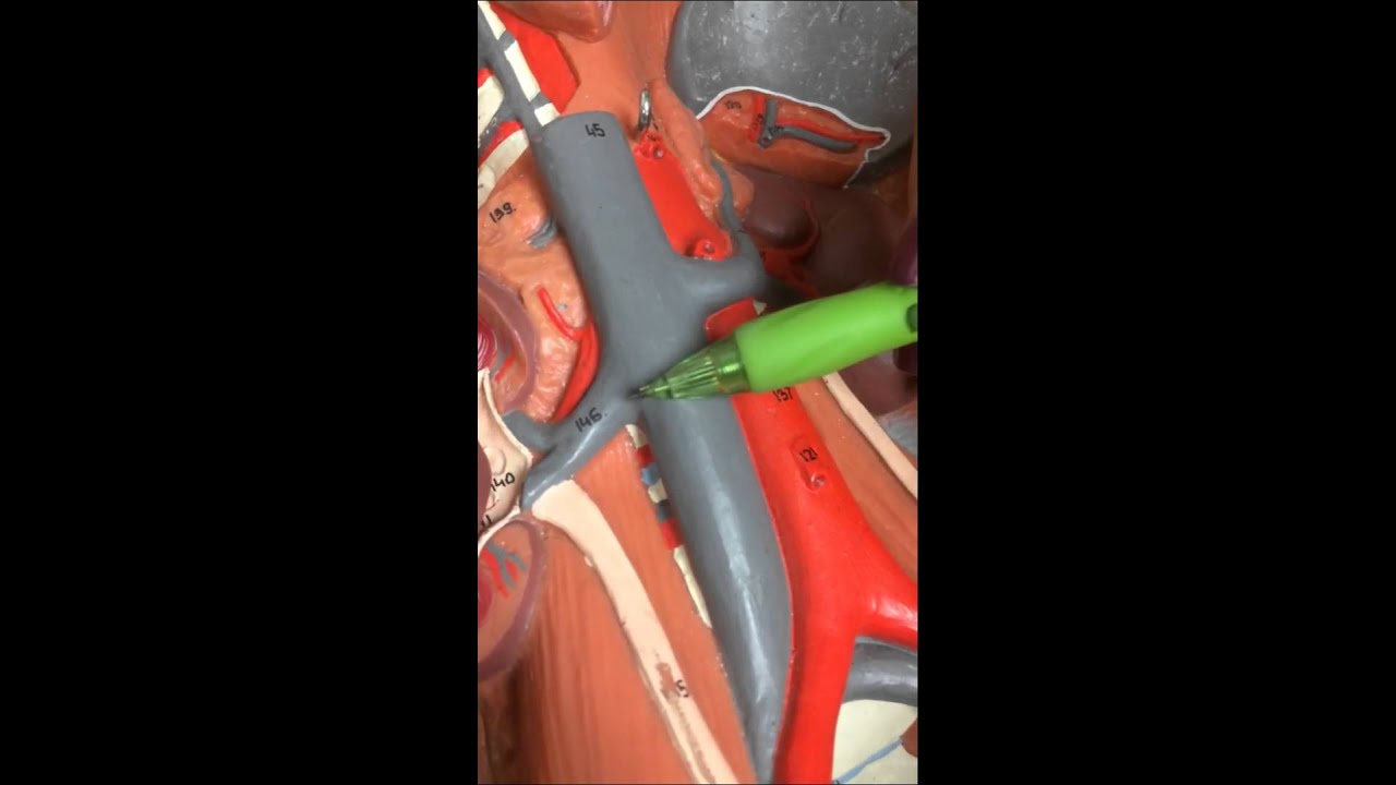 Small full body 1 - YouTube