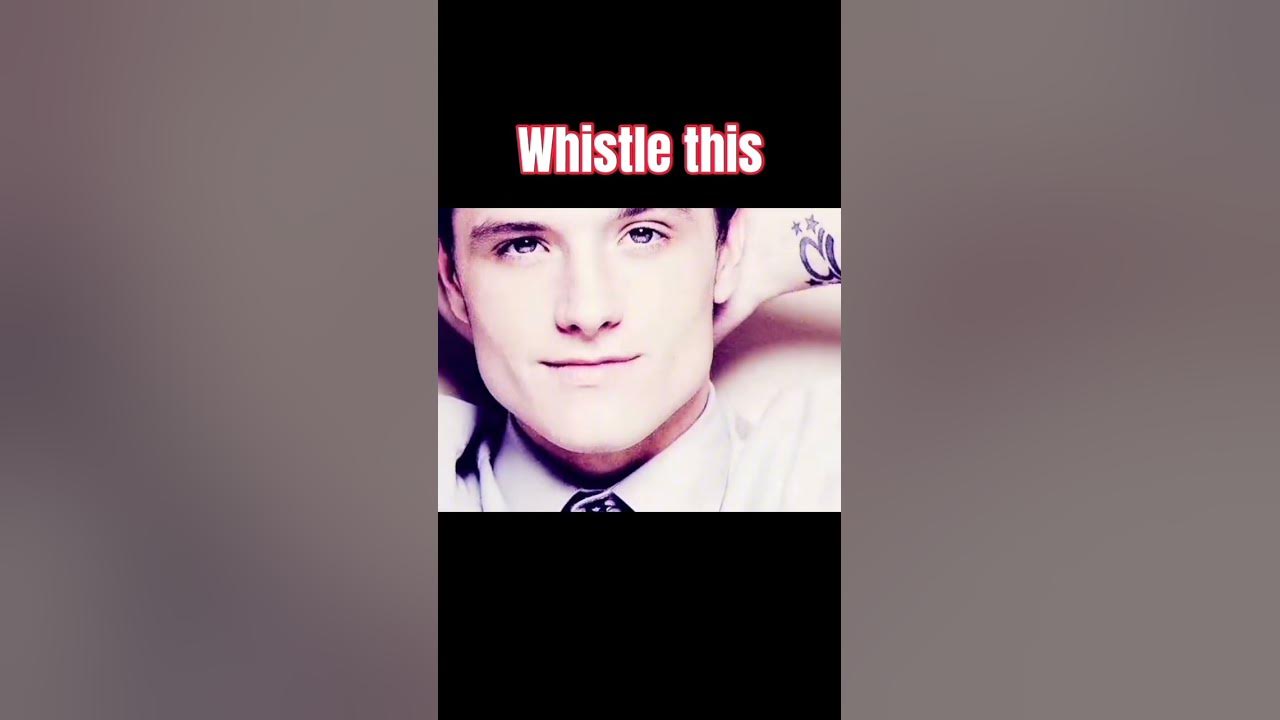 The Best Tutorial Youtube